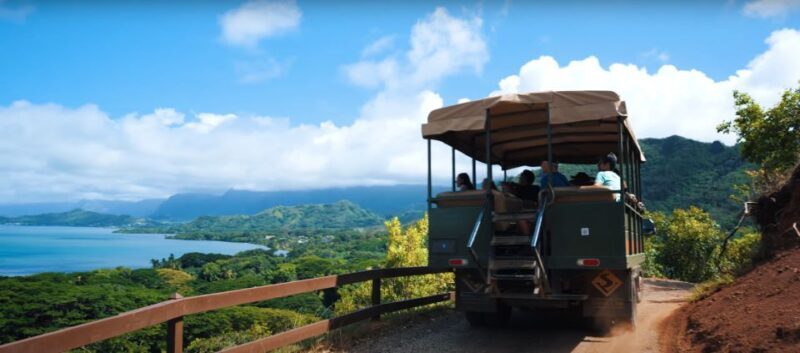 Oahu: Kualoa Open Air Jungle Expedition Tour - Who Will Love This Tour?