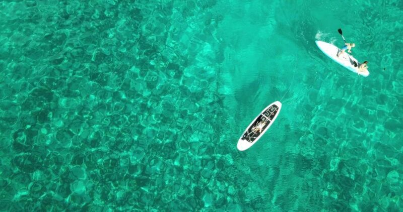 Oahu: Luxury 50' Catamaran Cruise with Snorkeling and Sunset - A Closer Look at the Experience