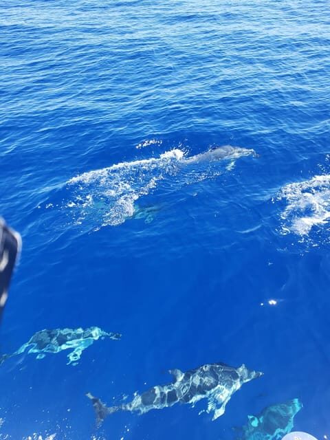 Oahu: Luxury Day Sailboat Charter - Value and Practical Considerations