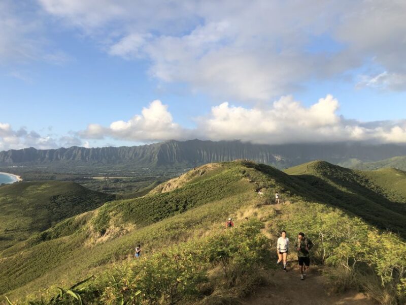Oahu: Manoa Falls Hike and east side beach day - Exploring Oahu with the Manoa Falls Hike and East Side Beach Day Tour