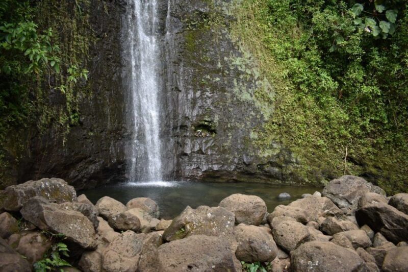 Oahu: Manoa Falls Waterfall Hike with Lunch and Transfers - Things to Consider