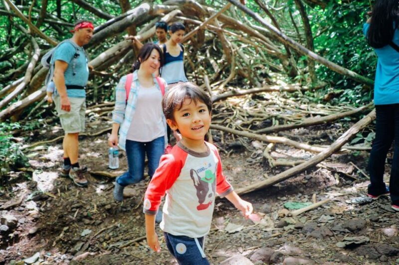 Oahu: Manoa Falls Waterfall Hike with Lunch and Transfers - The Price and Its Value