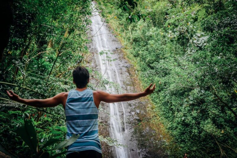 Oahu: Manoa Falls Waterfall Hike with Lunch and Transfers - Final Thoughts
