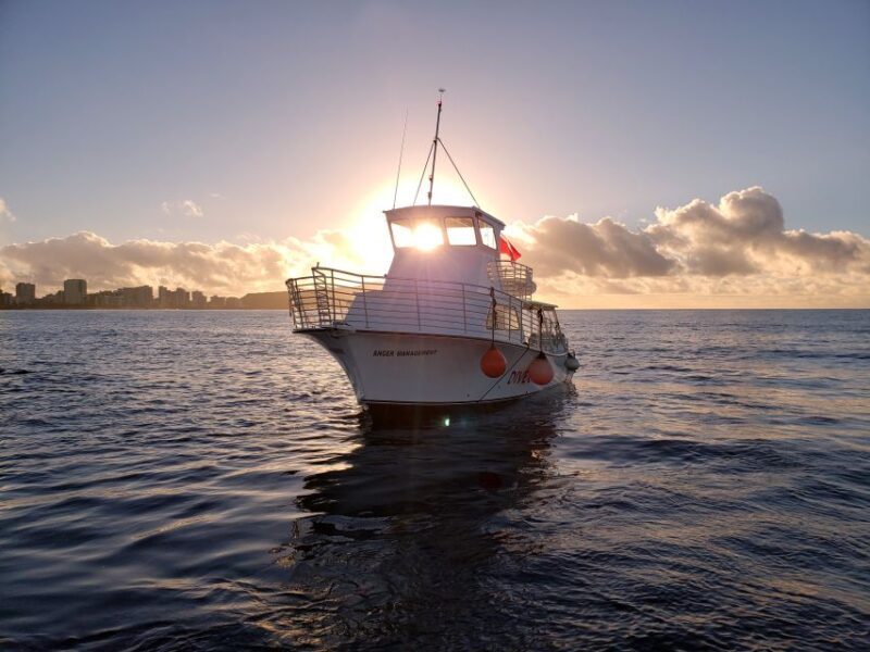 Oahu Night Dive: Adventure for Certified Divers - The Experience’s Pros and Cons