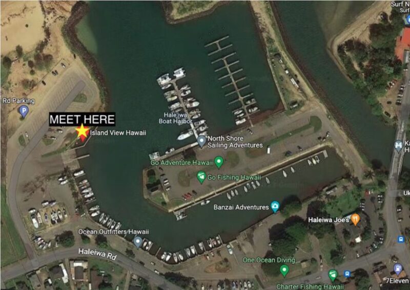 Oahu: North Shore Cageless Shark Snorkeling Tour - Summing It Up: The Value of This North Shore Shark Experience