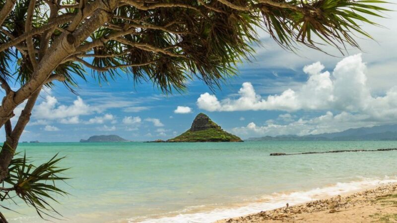 Oahu: North Shore Circle Island Small-Group Tour - An in-Depth Look at the Tour Experience