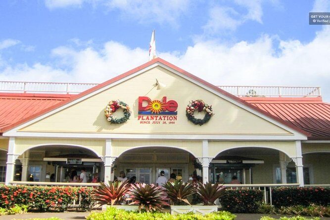 Oahu: North Shore & Dole Plantation Island Discover Tour - The Itinerary Breakdown