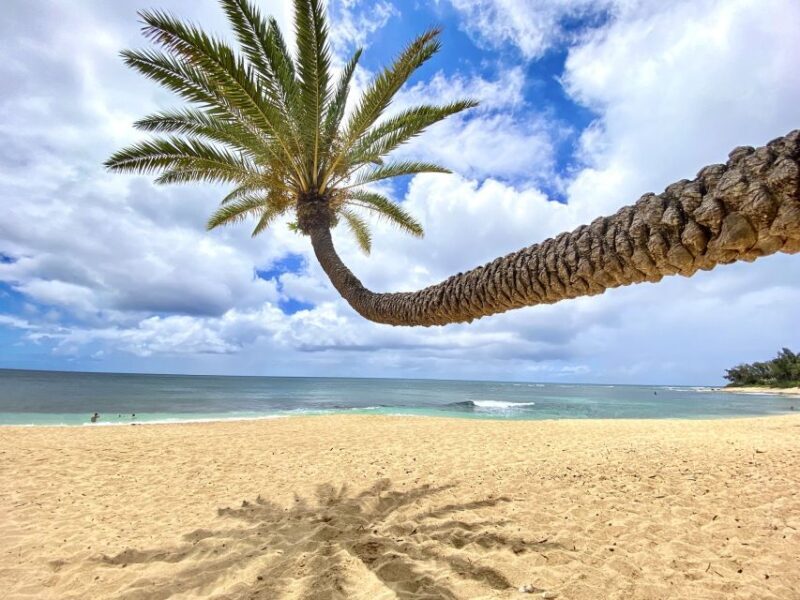 Oahu: North Shore Experience and Dole Plantation - Oahu: North Shore Experience and Dole Plantation — An Honest Look