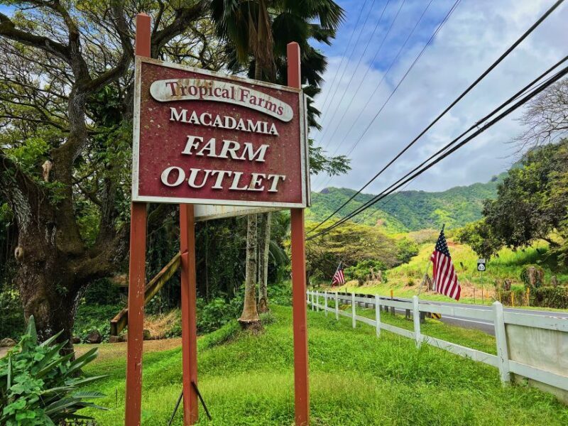 Oahu: North Shore Experience and Dole Plantation - The Sum Up