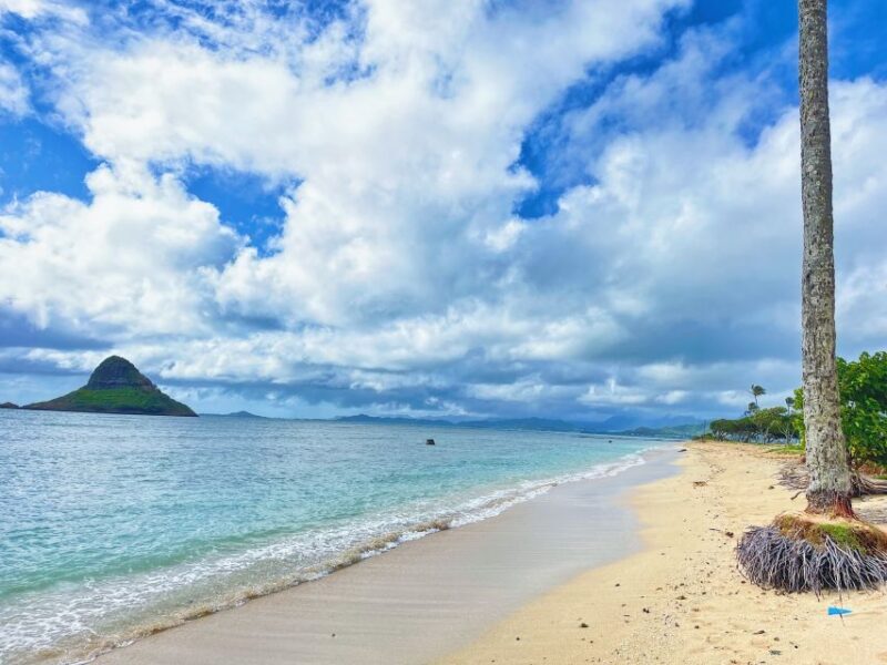 Oahu: North Shore Experience and Dole Plantation - FAQ