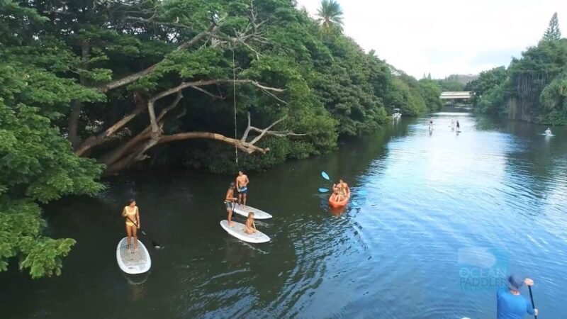 Oahu: North Shore Haleiwa Paddleboard River Adventure - FAQ