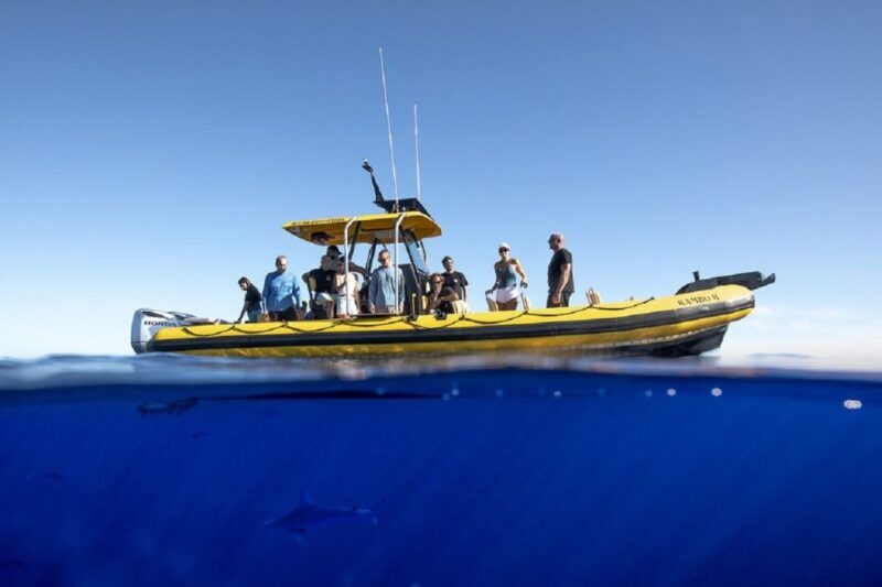 Oahu: North Shore Haleiwa: Private Boat Charter - Practical Details: What You Need to Know