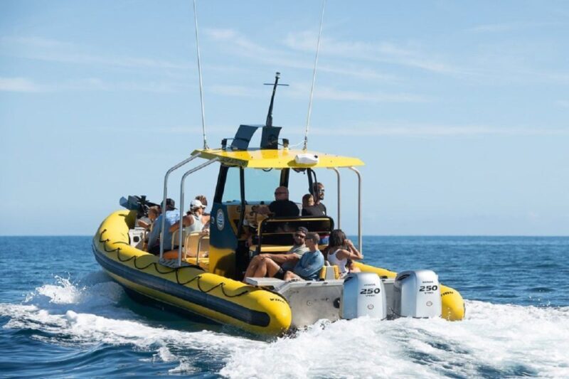 Oahu: North Shore Marine Life Tour from Haleiwa - An Authentic Look at the Oahu North Shore Marine Life Tour
