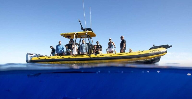 Oahu: North Shore Marine Life Tour from Haleiwa - Frequently Asked Questions