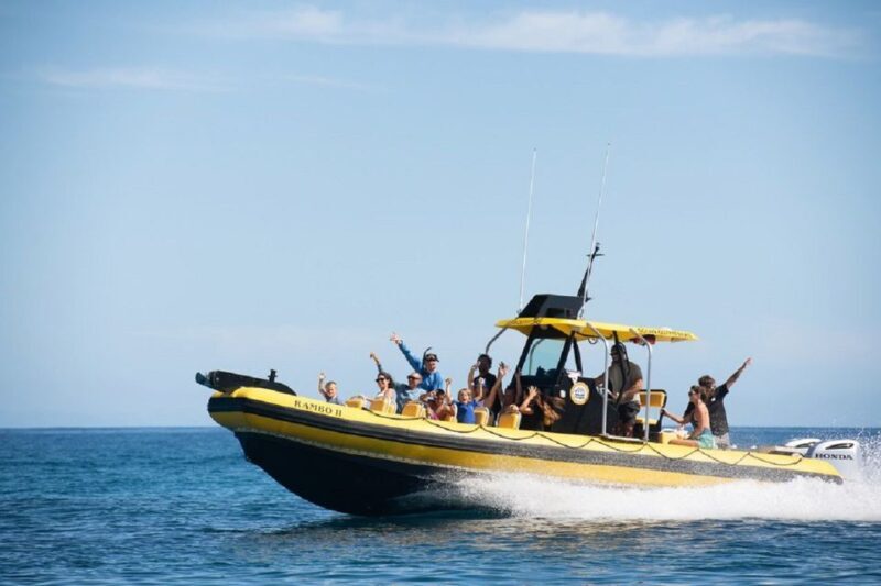 Oahu: North Shore Marine Life Tour from Haleiwa - Final Words