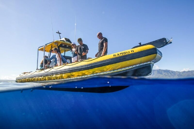 Oahu: North Shore Snorkeling Tour from Haleiwa - How Does It Compare in Value?