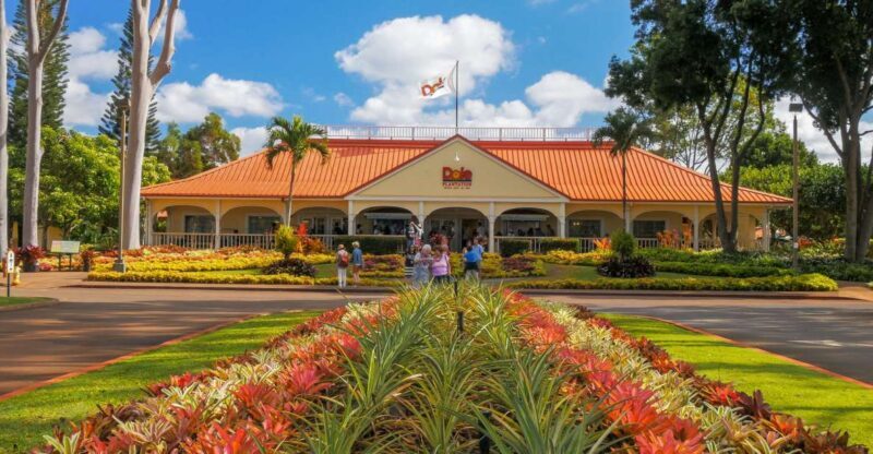 Oahu: Oahu Ultimate Grand Circle Island Tour - A Practical Look at the Oahu Ultimate Grand Circle Island Tour