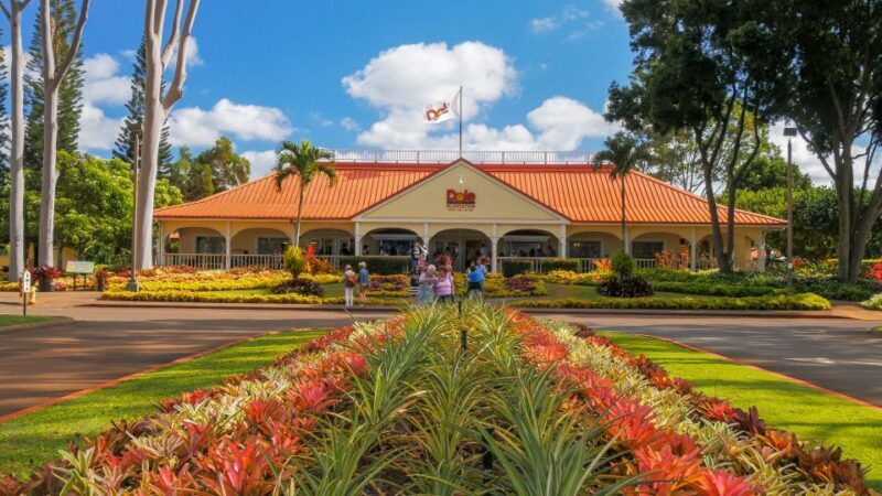 Oahu: Oahu Ultimate Grand Circle Island Tour - What the Tour Means for Travelers