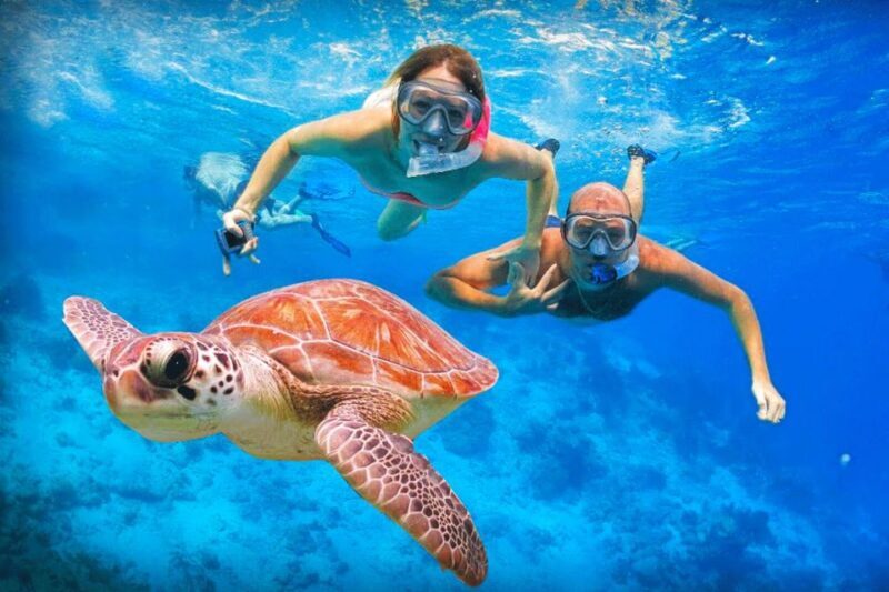Oahu: Oahu Ultimate Grand Circle Island Tour - Final thoughts