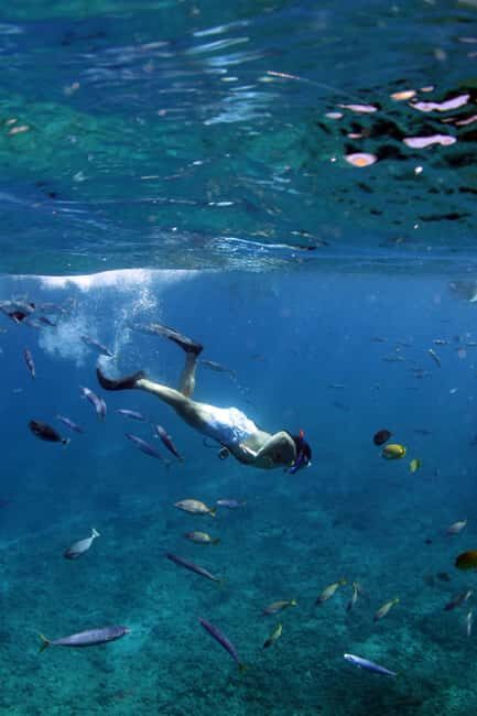 Oahu: Off road Stand-Up ATV and Sunset Snorkel Cruise - Key Points