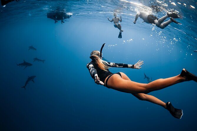 Oahu Open Water Shark Diving Experience - The Photography and Memory-Making Aspect