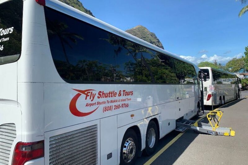 Oahu: Pearl Harbor and Honolulu City Tour - Who Will Love This Tour?