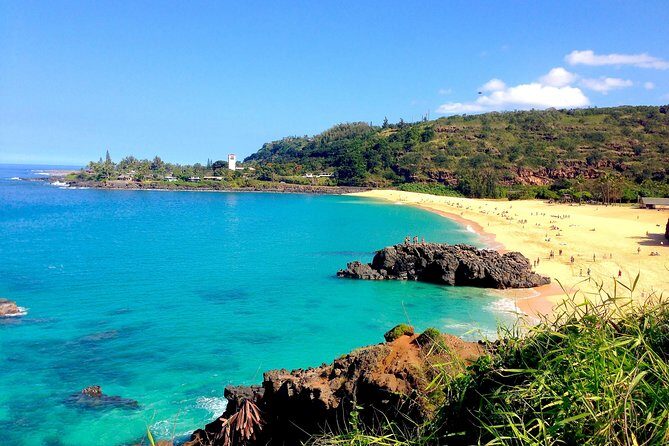 Oahu Personalized Private North Shore Highlight Custom Tour - Exploring the Oahu Personalized Private North Shore Highlight Custom Tour