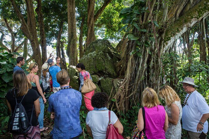 Oahu Personalized Private Tour - Tasting and Shopping at Tropical Farms