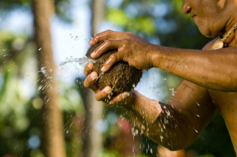 Oahu: Polynesian Cultural Center Island Villages Ticket - The Sum Up