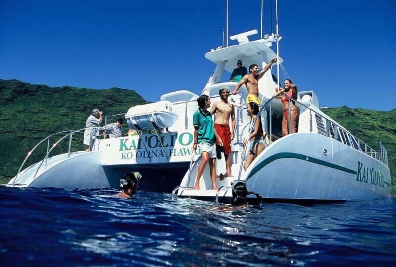 Oahu: Premium Snorkeling Cruise, Whale & Dolphin Watching - The Experience in Detail