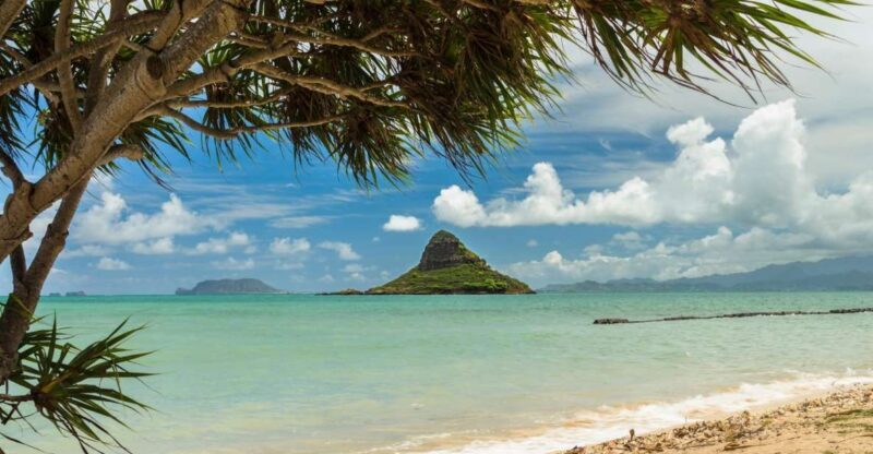 Oahu: Private Custom Island Tour - An Introduction to the Private Oahu Tour Experience