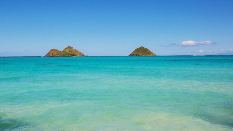 Oahu: Private Custom Island Tour - The Sum Up