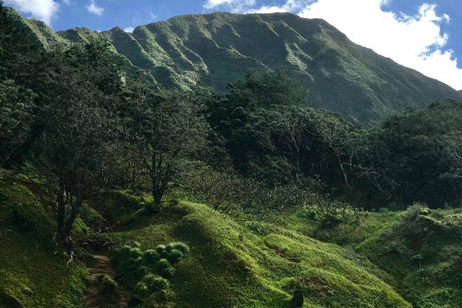 Oahu Private First, Last and Transfer Day Tours with Luggage - Who Is This Tour Best For?