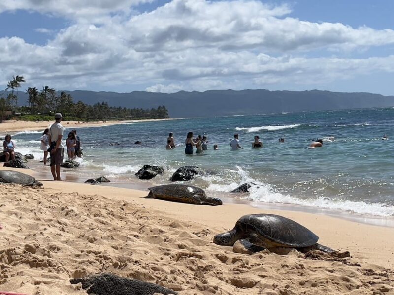 Oahu: Private Tour-Circle Island-Customizable - An In-Depth Look at the Itinerary and What You Can Expect