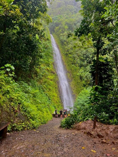 Oahu: Private Tour-Circle Island-Customizable - The Sum Up