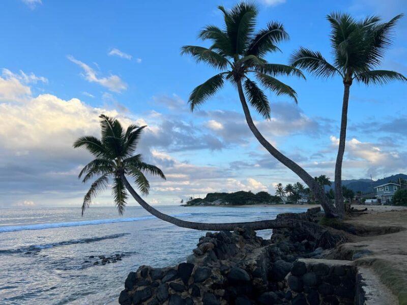 Oahu: Private Tour-Circle Island-Customizable - Wrapping Up