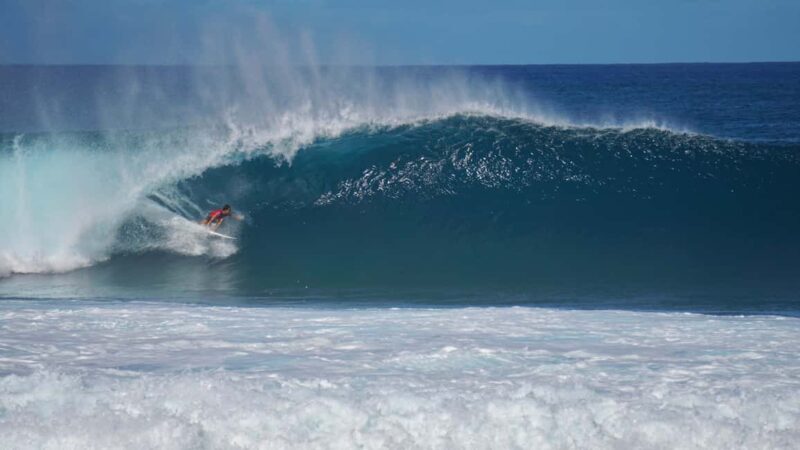Oahu: Private Tour-North Shore feat. Waimea Falls - Who Would Love This Tour?