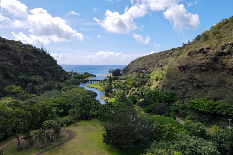 Oahu: Private Tour-North Shore feat. Waimea Falls - An Insider’s Look at the Private North Shore Tour