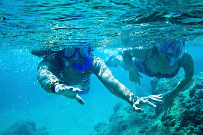Oahu Private Tour North Shore, Waimea Falls and Dole Plantation - The Sum Up