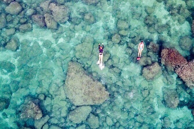 Oahu Private Tour North Shore, Waimea Falls and Dole Plantation - FAQ