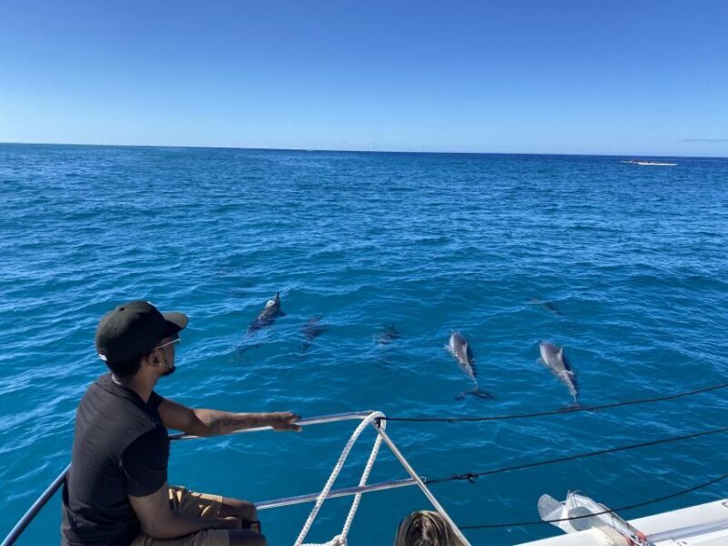 Oahu: Private Turtle Snorkeling with Customizable Itinerary - The Sum Up