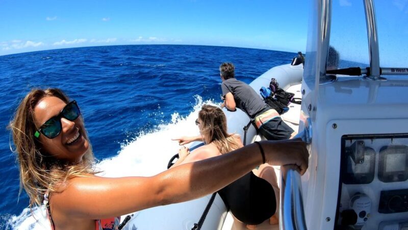 Oahu: Private Whale Watching Adventure - An Authentic Look at the Oahu Whale Watching Experience