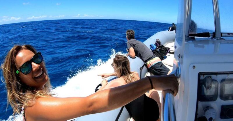 Oahu: Private Whale Watching Adventure - What Travelers Are Saying