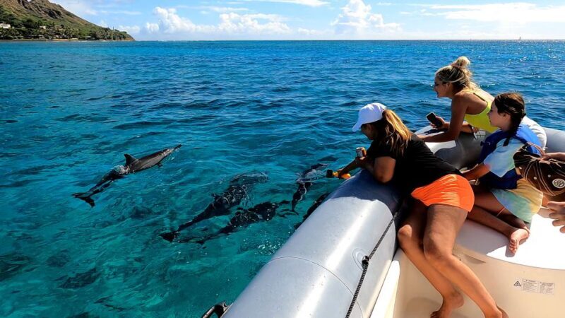 Oahu: Private Whale Watching Adventure - Who Should Consider This Tour?