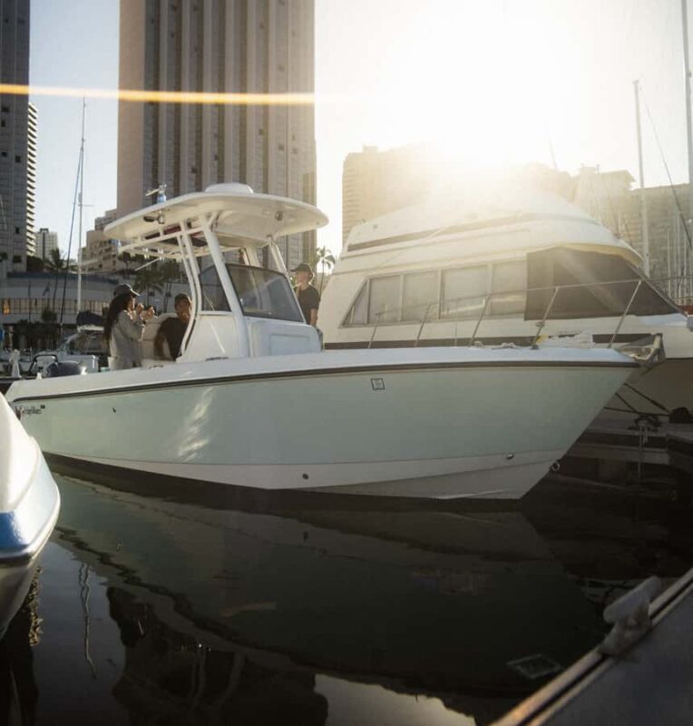 Oahu: Private Whale-Watching Tour - 6 passengers max - Key Points