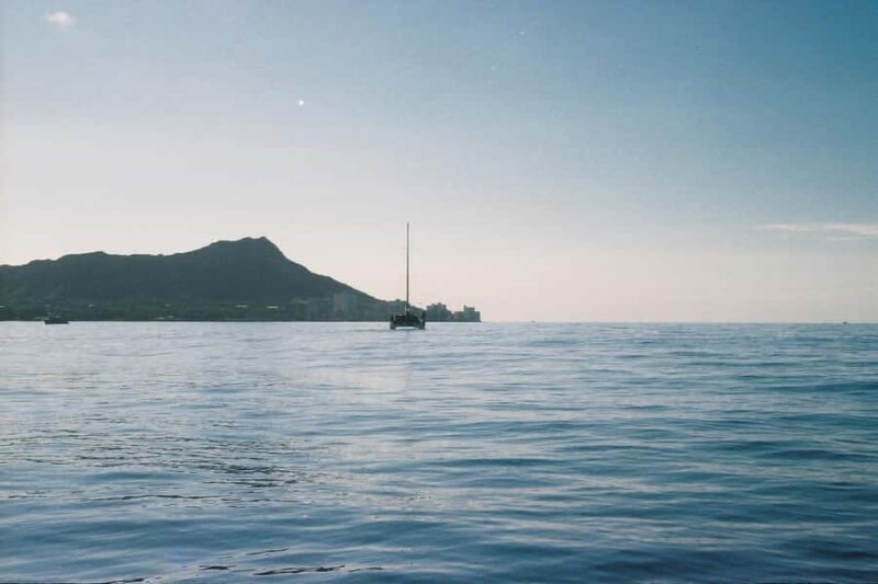 Oahu: Private Whale-Watching Tour - 6 passengers max - Pricing & Value