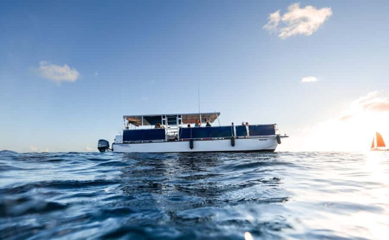 Oahu: Scenic Diamond Head Sunset Cruise (BYOB) - Who Will Love This Tour?