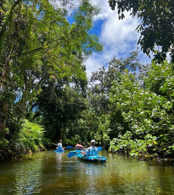 Oahu: Single & Double Kayak 3-Hour River Rental - Who Should Consider This Kayaking Tour?