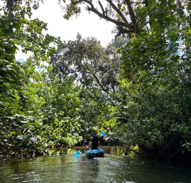 Oahu: Single & Double Kayak 3-Hour River Rental - Why Choose the Oahu Kayak Rental?
