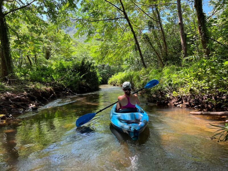 Oahu: Single & Double Kayak 3-Hour River Rental - Analyzing the Value